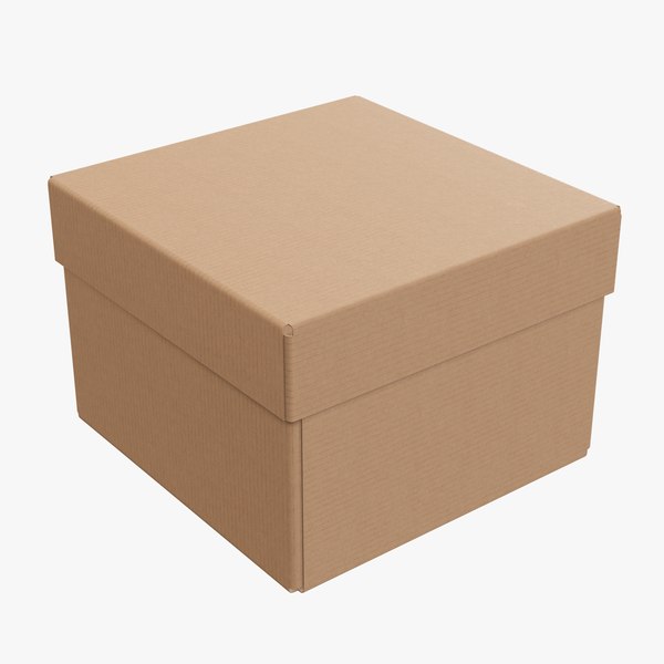 3D cardboard box lid model - TurboSquid 1585421