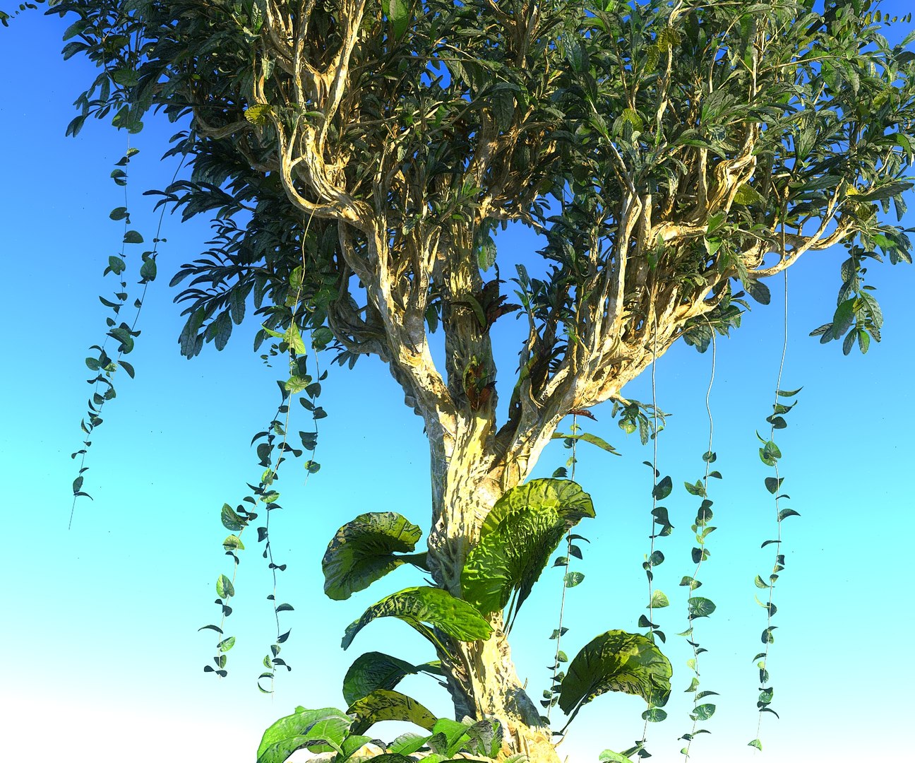 3D Rain Forest Ecosystems Model - TurboSquid 1466105