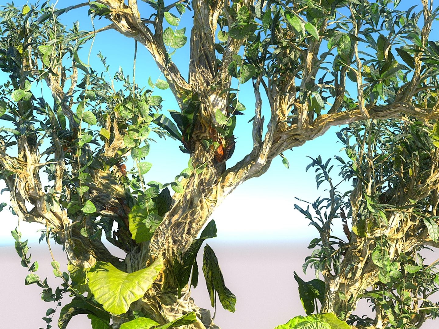 3D Rain Forest Ecosystems Model - TurboSquid 1466105