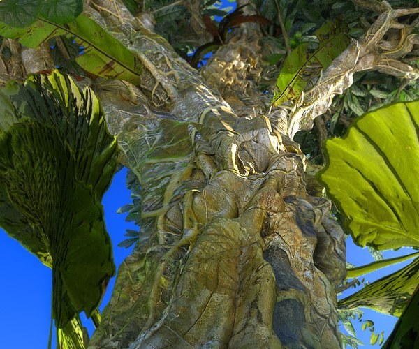 3D rain forest ecosystems model - TurboSquid 1466105