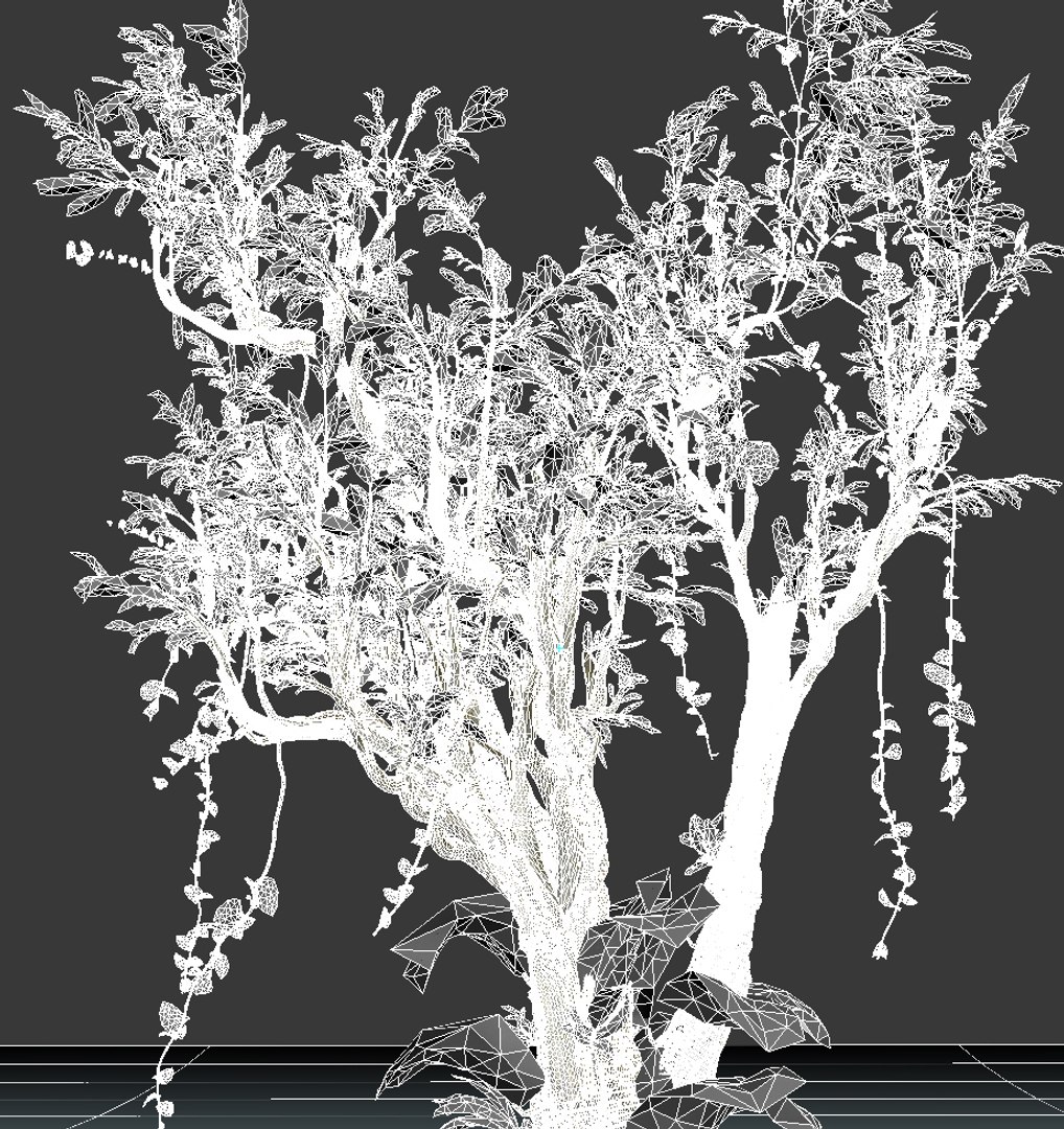 3D Rain Forest Ecosystems Model - TurboSquid 1466105