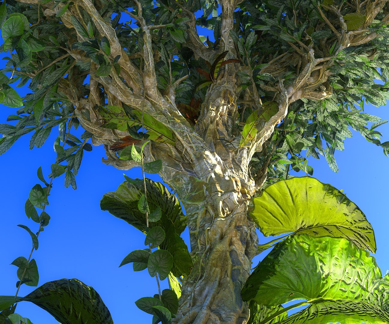 3D Rain Forest Ecosystems Model - TurboSquid 1466105