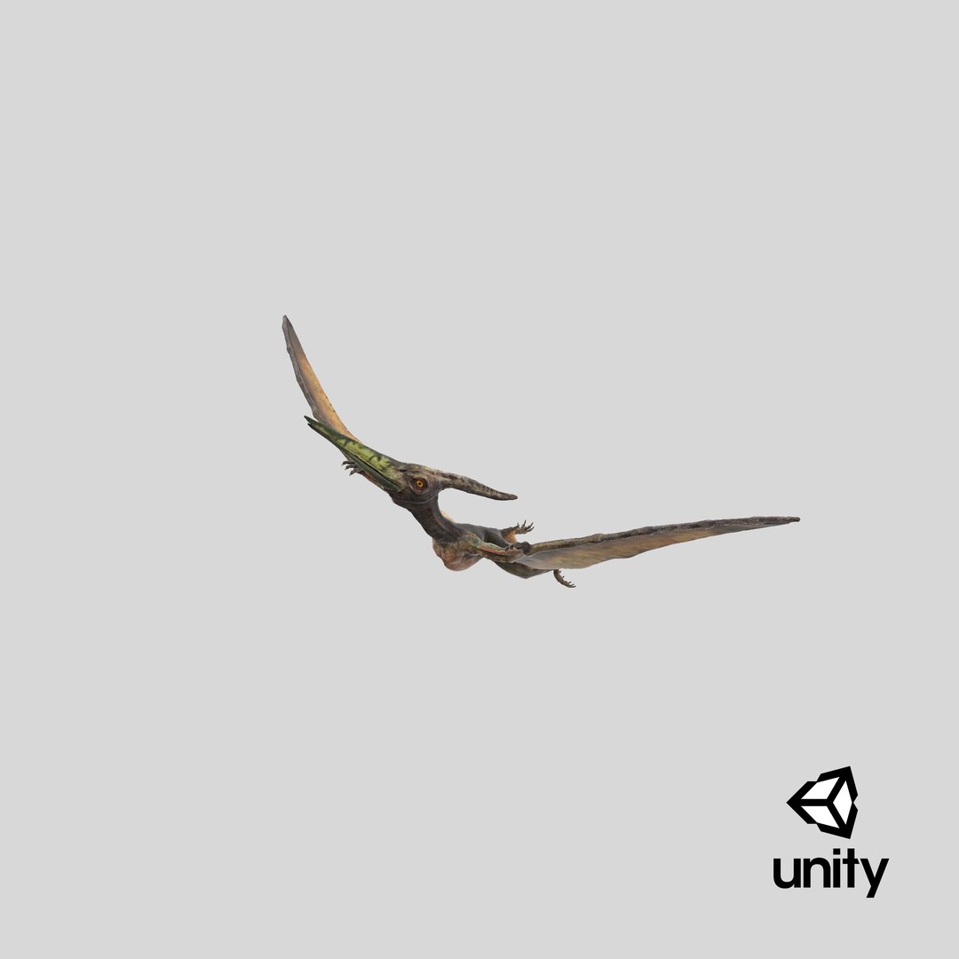 Pteranodon Flying Carnivorous Reptile 3D - TurboSquid 1385298