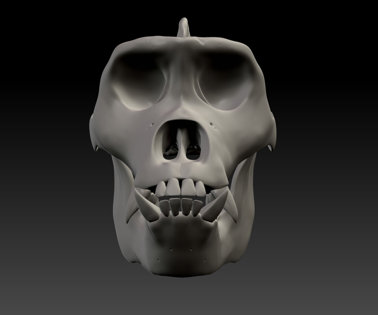 Max Gorilla Skull