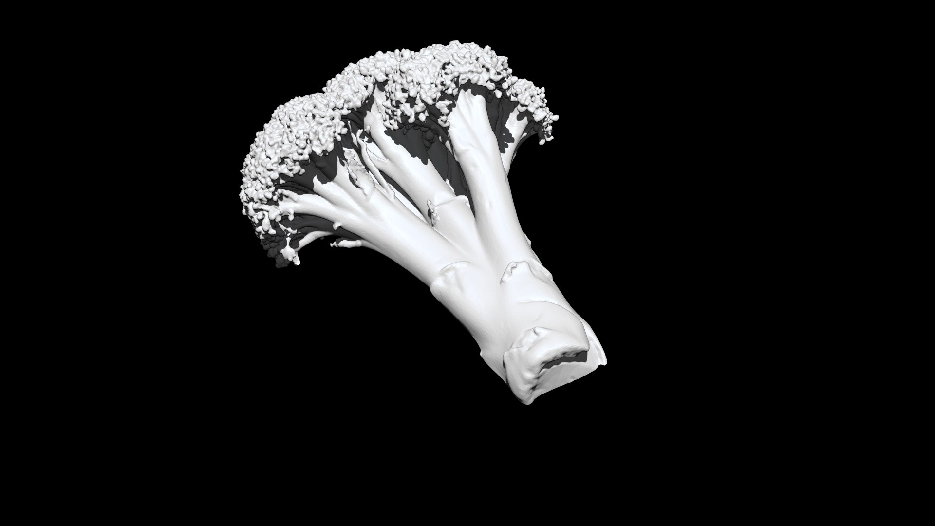 3D Broccoli Cut 3D CT Scan Model 1 Decimate 50percent - TurboSquid 1886410
