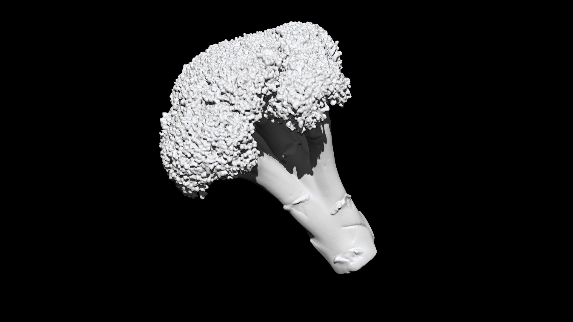 3D Broccoli Cut 3D CT Scan Model 1 Decimate 50percent - TurboSquid 1886410