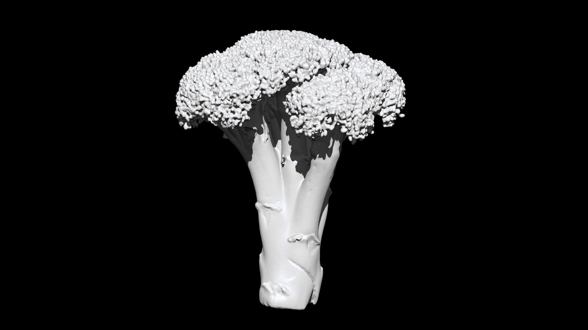 3D Broccoli Cut 3D CT Scan Model 1 Decimate 50percent - TurboSquid 1886410
