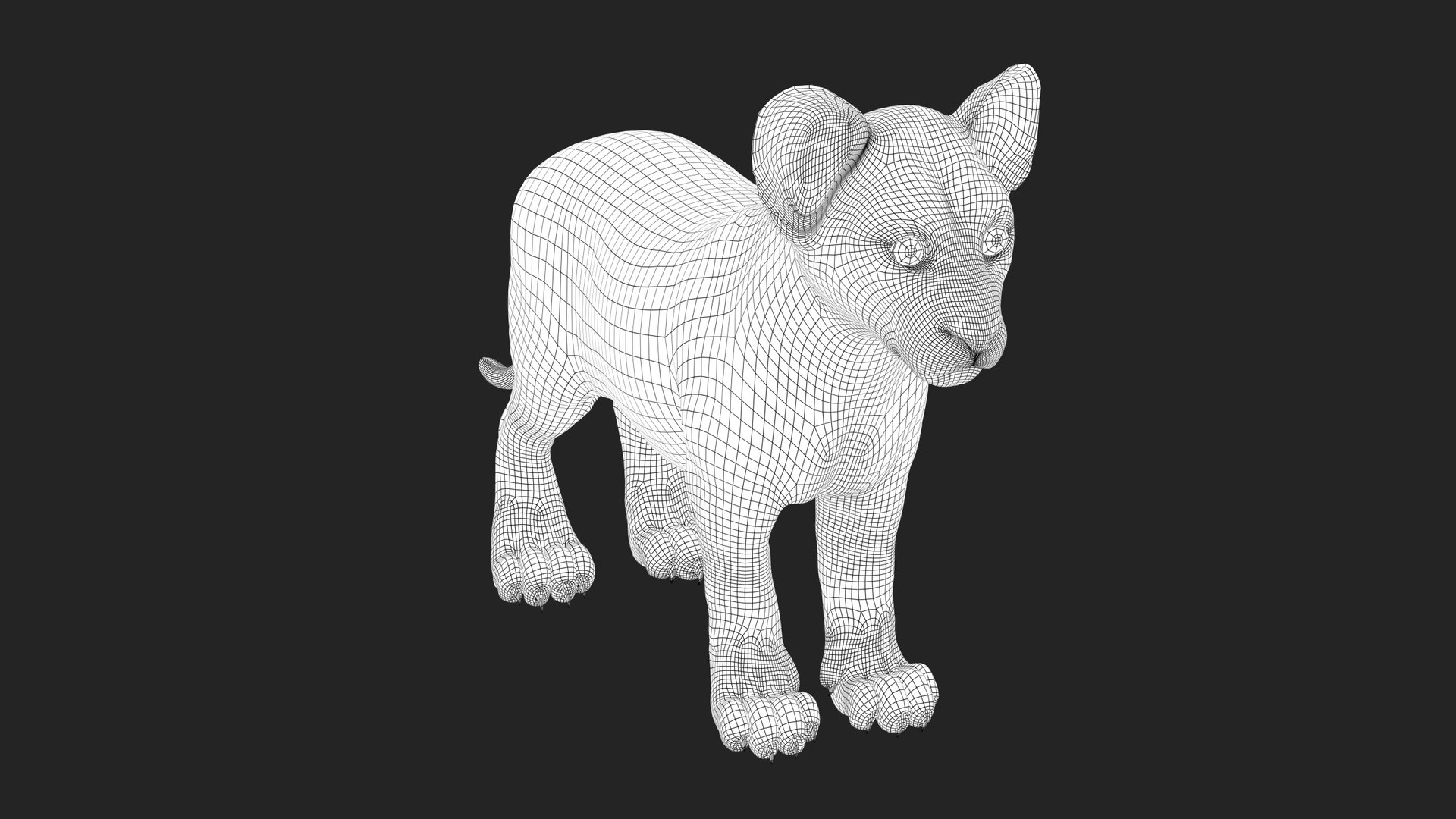 3D Lion Cub RIG XGEN-CORE Model - TurboSquid 2341961