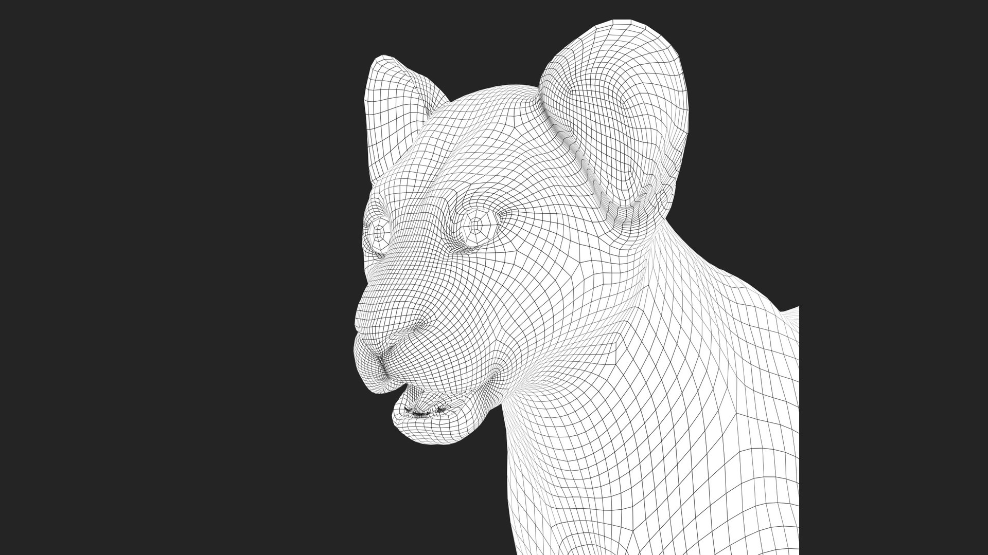 3D Lion Cub RIG XGEN-CORE Model - TurboSquid 2341961