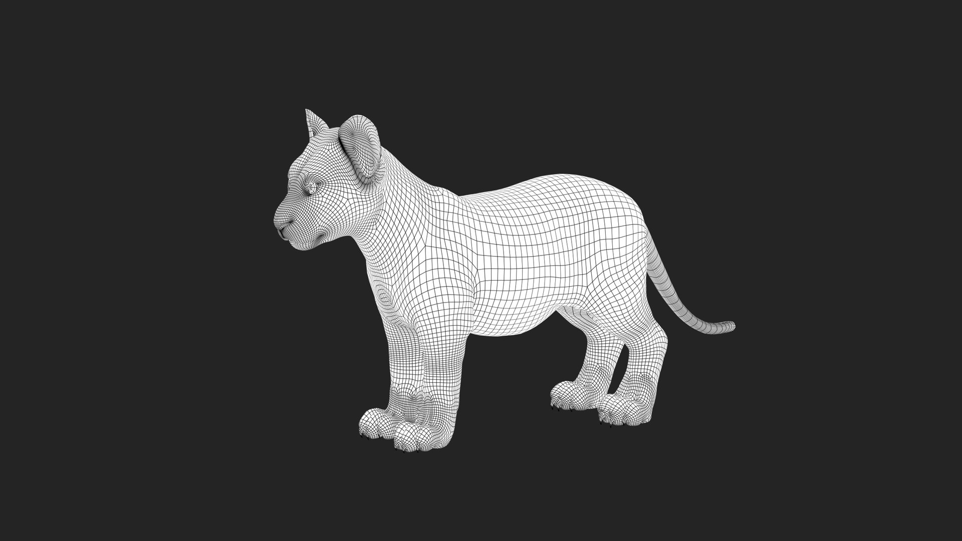 3D Lion Cub RIG XGEN-CORE Model - TurboSquid 2341961