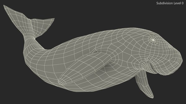 Dugong rigged 3D model - TurboSquid 1518993