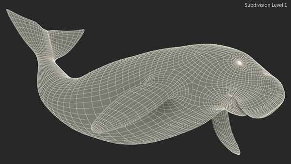 Dugong rigged 3D model - TurboSquid 1518993