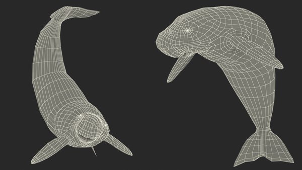 Dugong rigged 3D model - TurboSquid 1518993