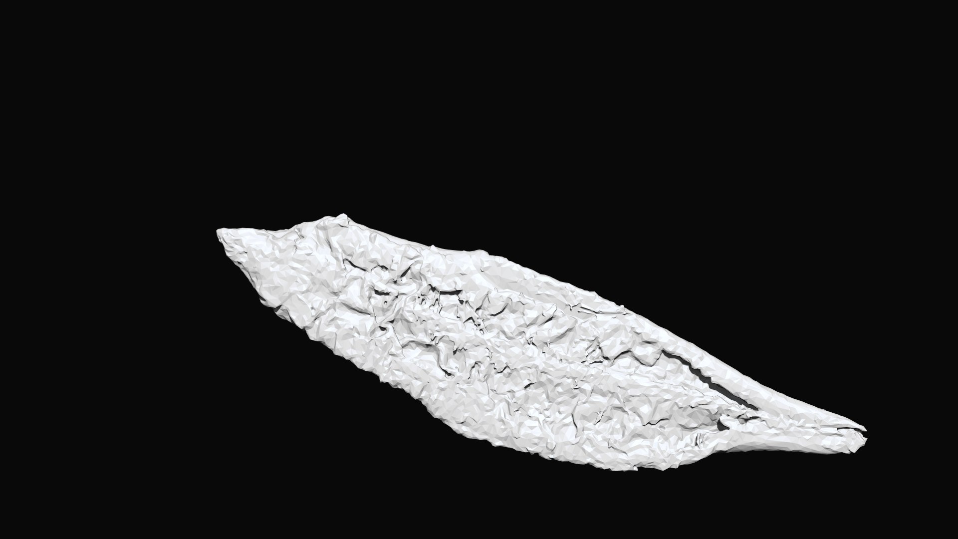 Grilled Eel 3D CT Scan Model Decimate 5 Percent 3D - TurboSquid 1965583