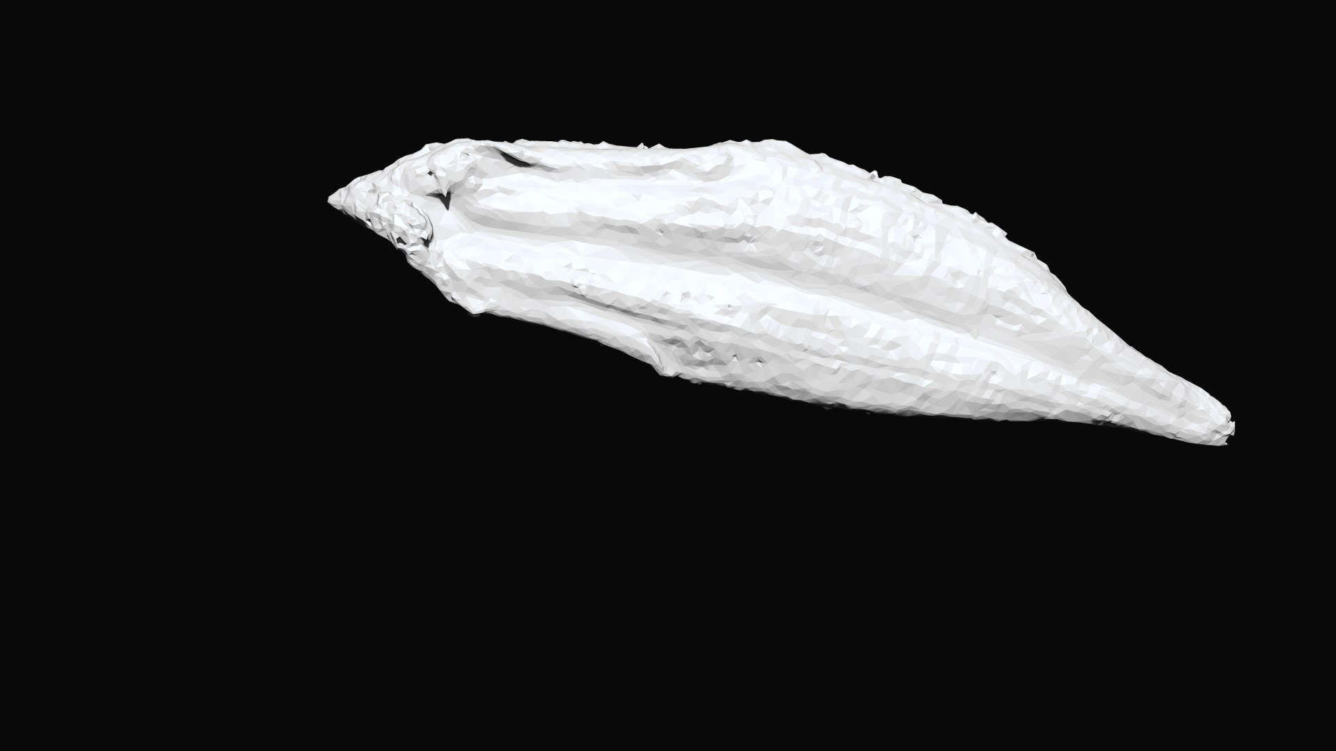 Grilled Eel 3D CT Scan Model Decimate 5 Percent 3D - TurboSquid 1965583