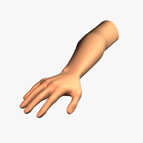 3D Forearm Models | TurboSquid