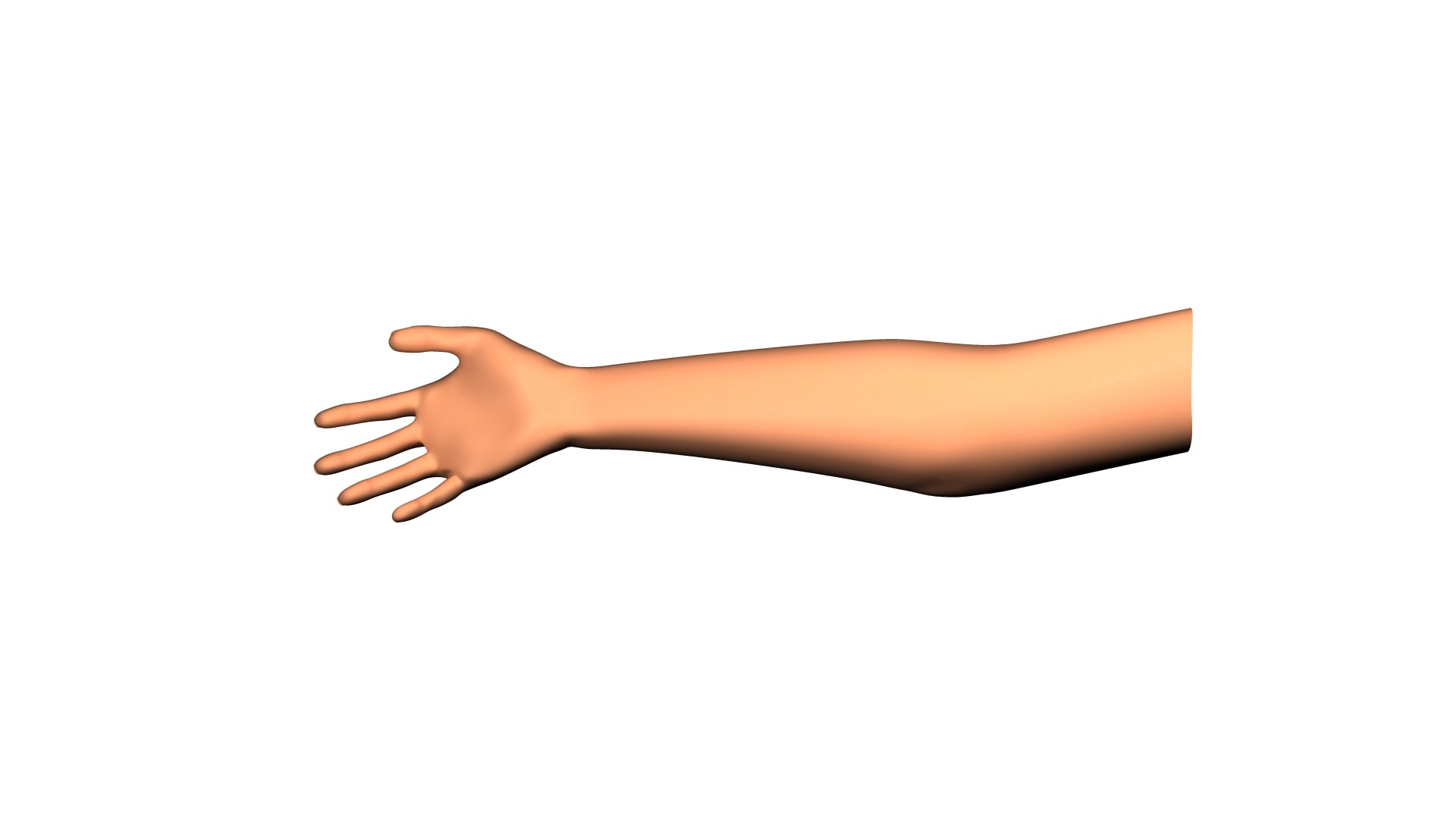 3dsmax forearm skinn