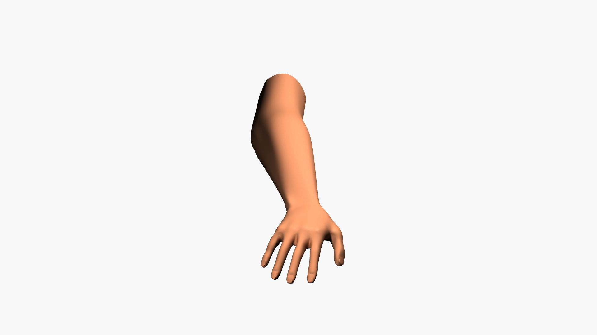 3dsmax forearm skinn