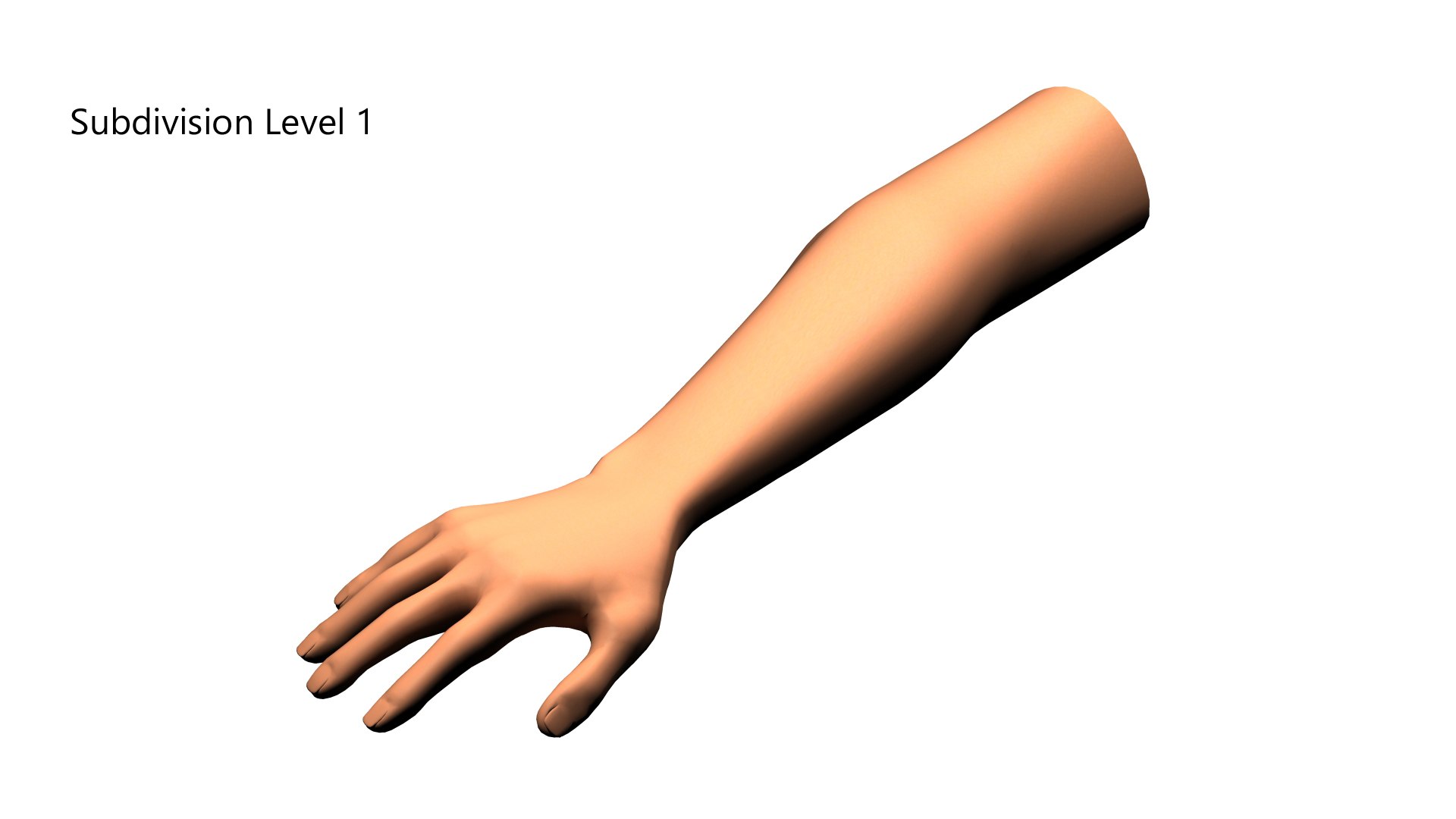 3dsmax forearm skinn