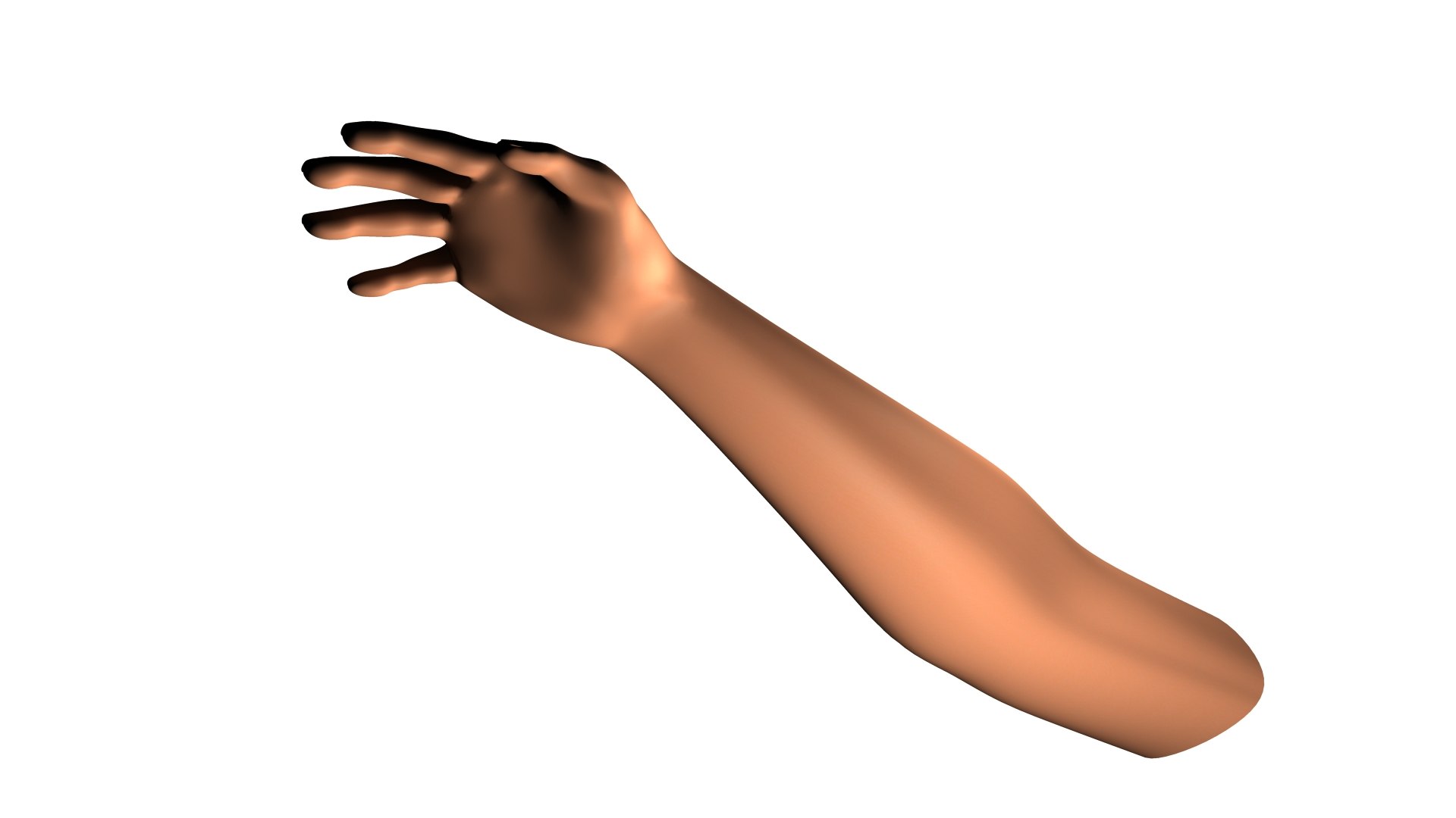 3dsmax forearm skinn