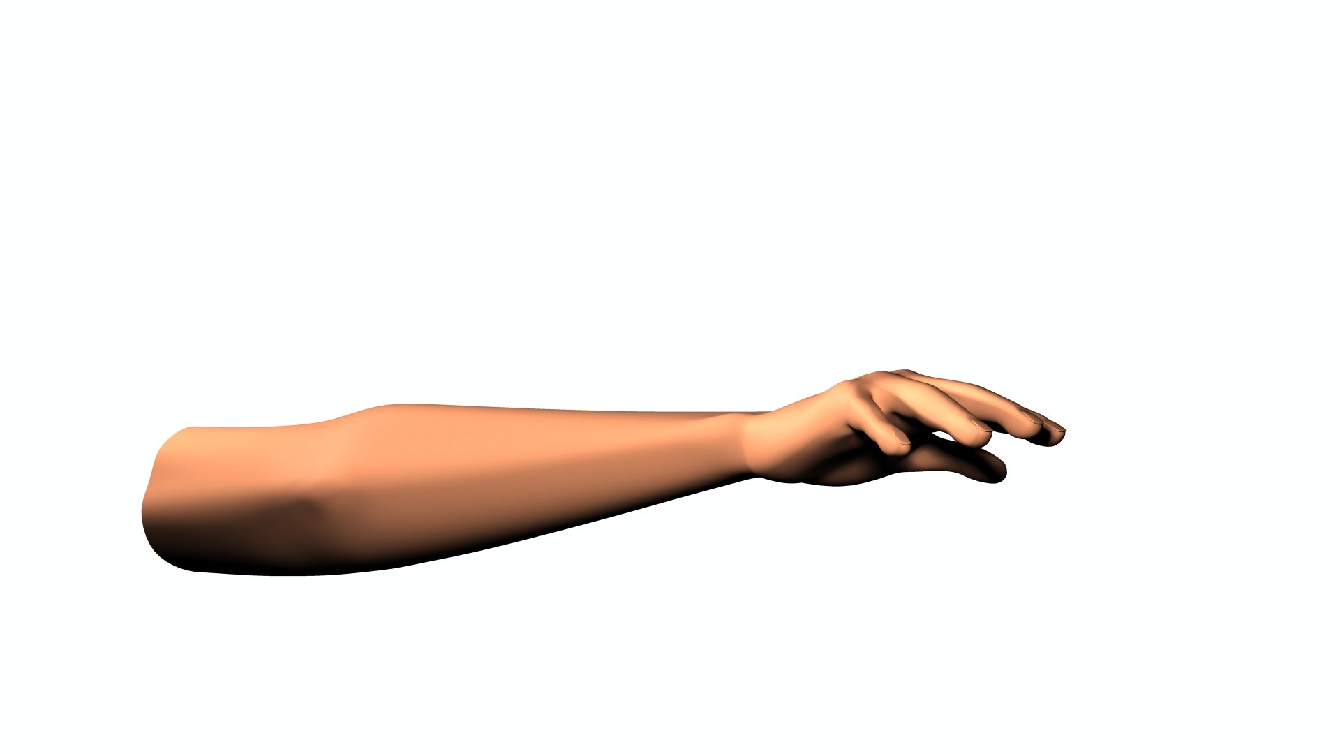 3dsmax forearm skinn