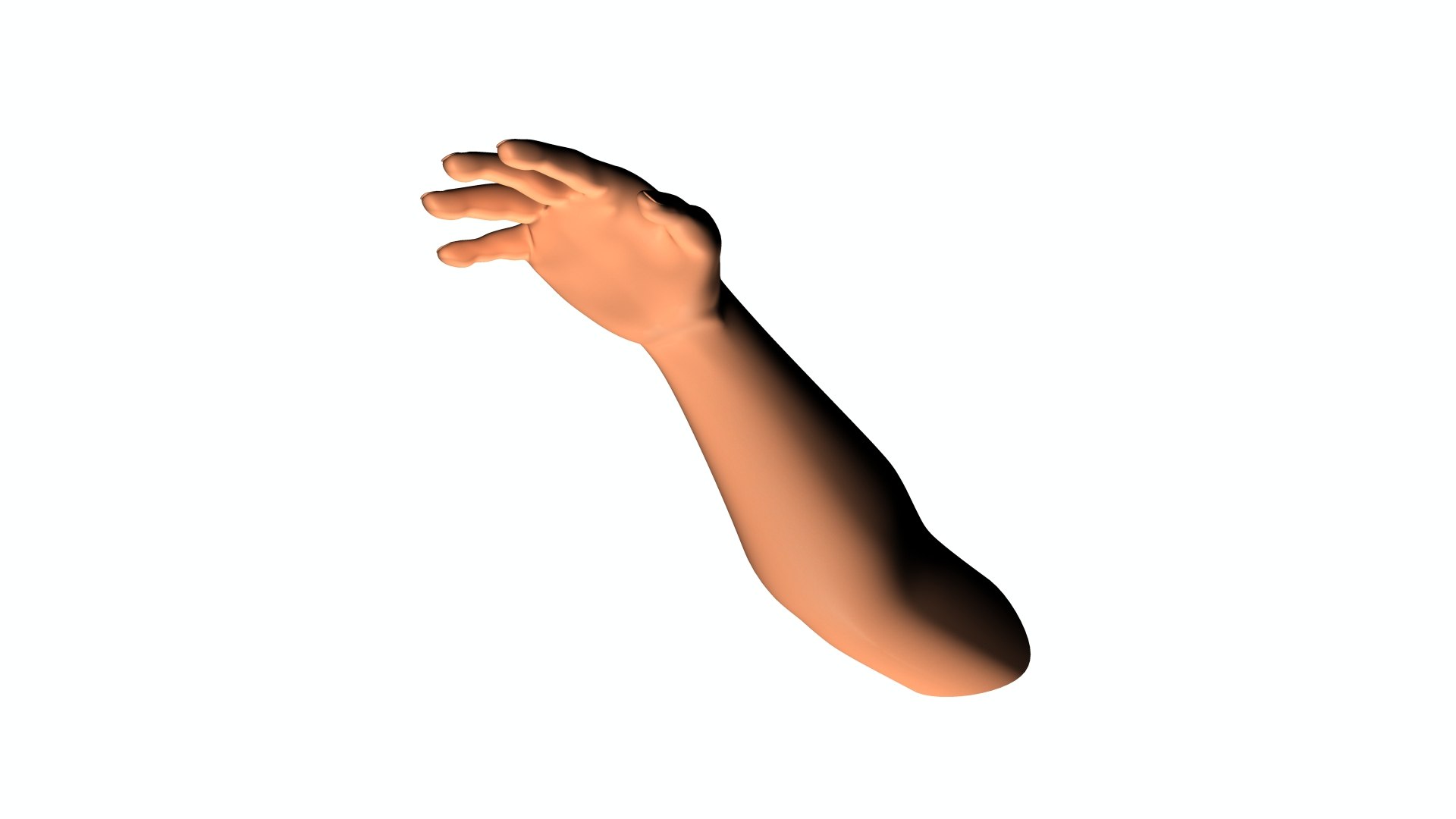 3dsmax forearm skinn