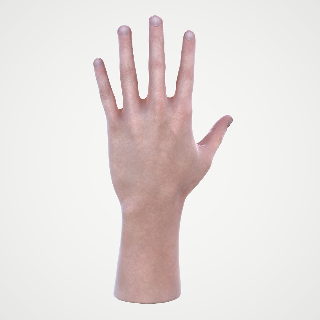 Hand Realistic Model - TurboSquid 1514631