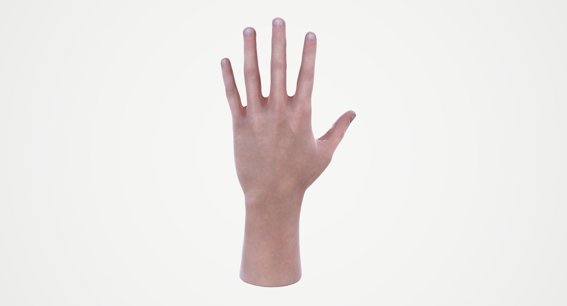 Hand Realistic Model - TurboSquid 1514631