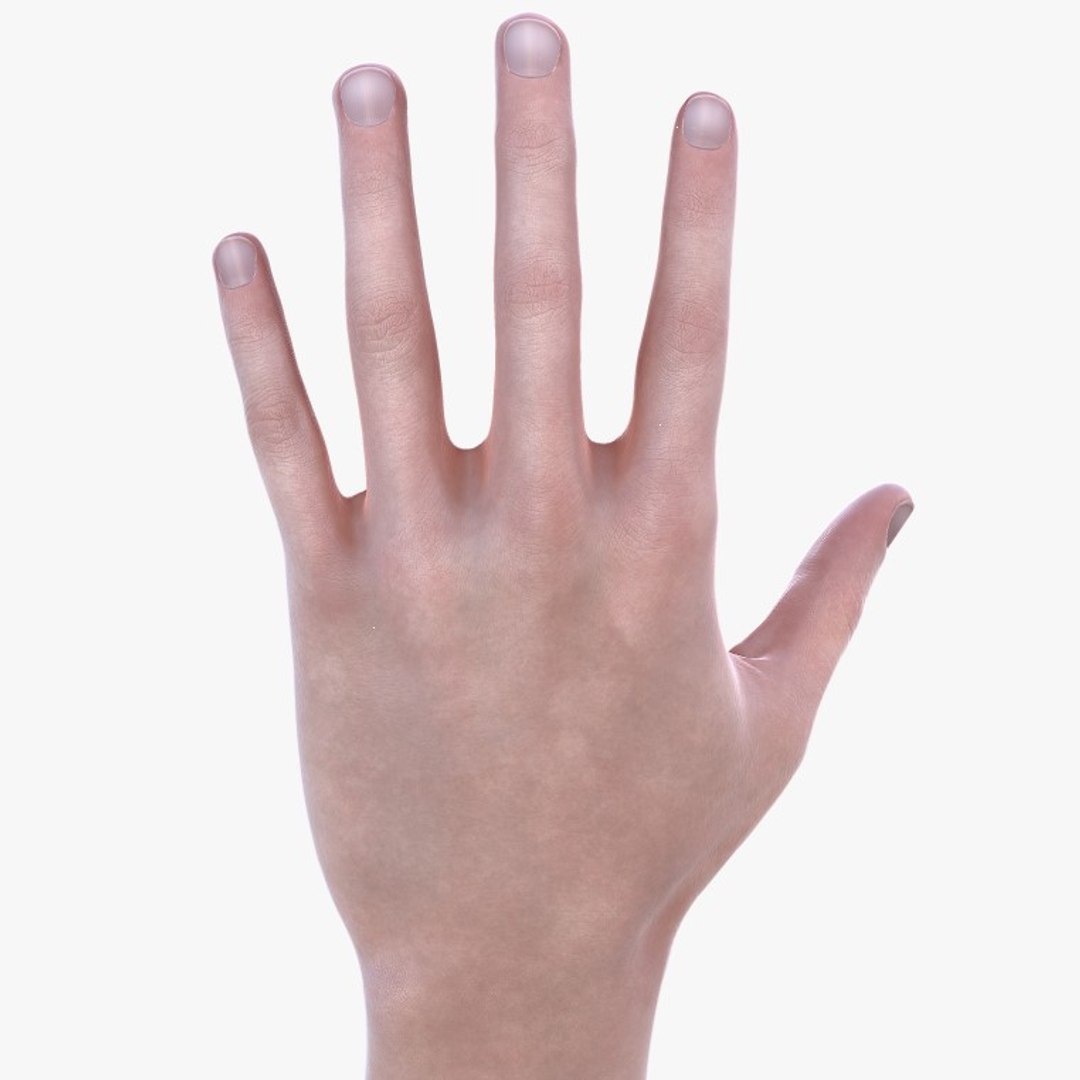 Hand realistic model - TurboSquid 1514631