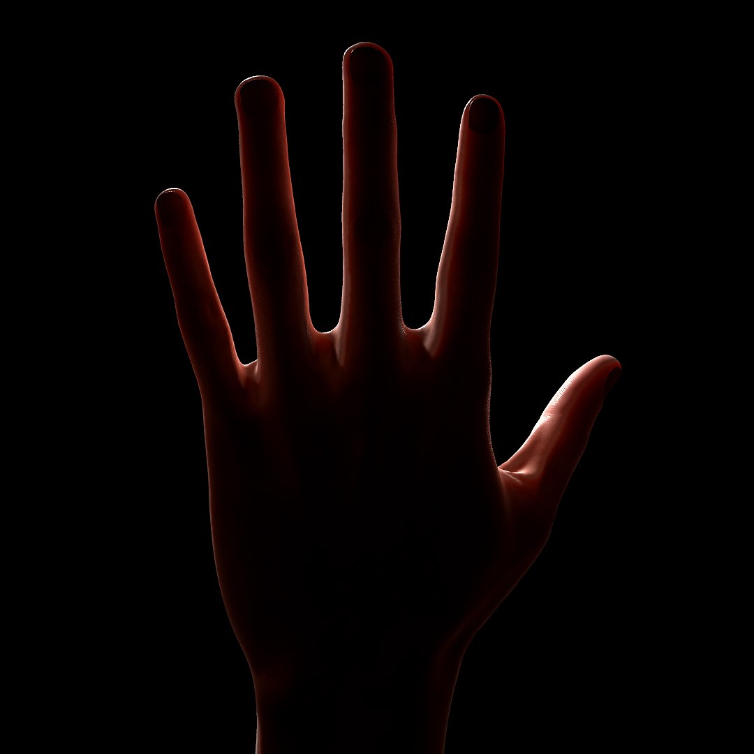 Hand Realistic Model - TurboSquid 1514631