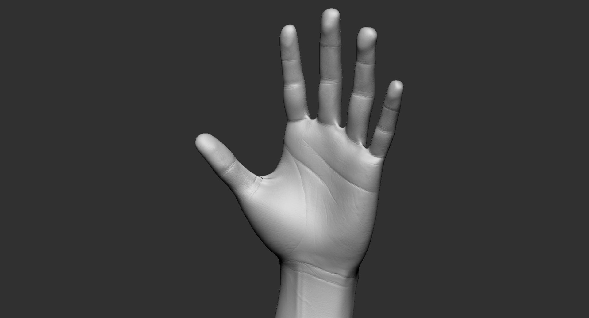 Hand Realistic Model - TurboSquid 1514631