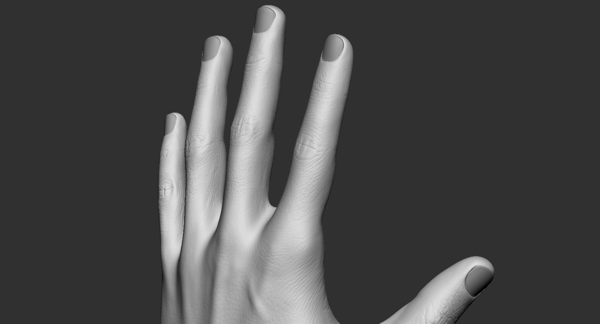 Hand Realistic Model - TurboSquid 1514631