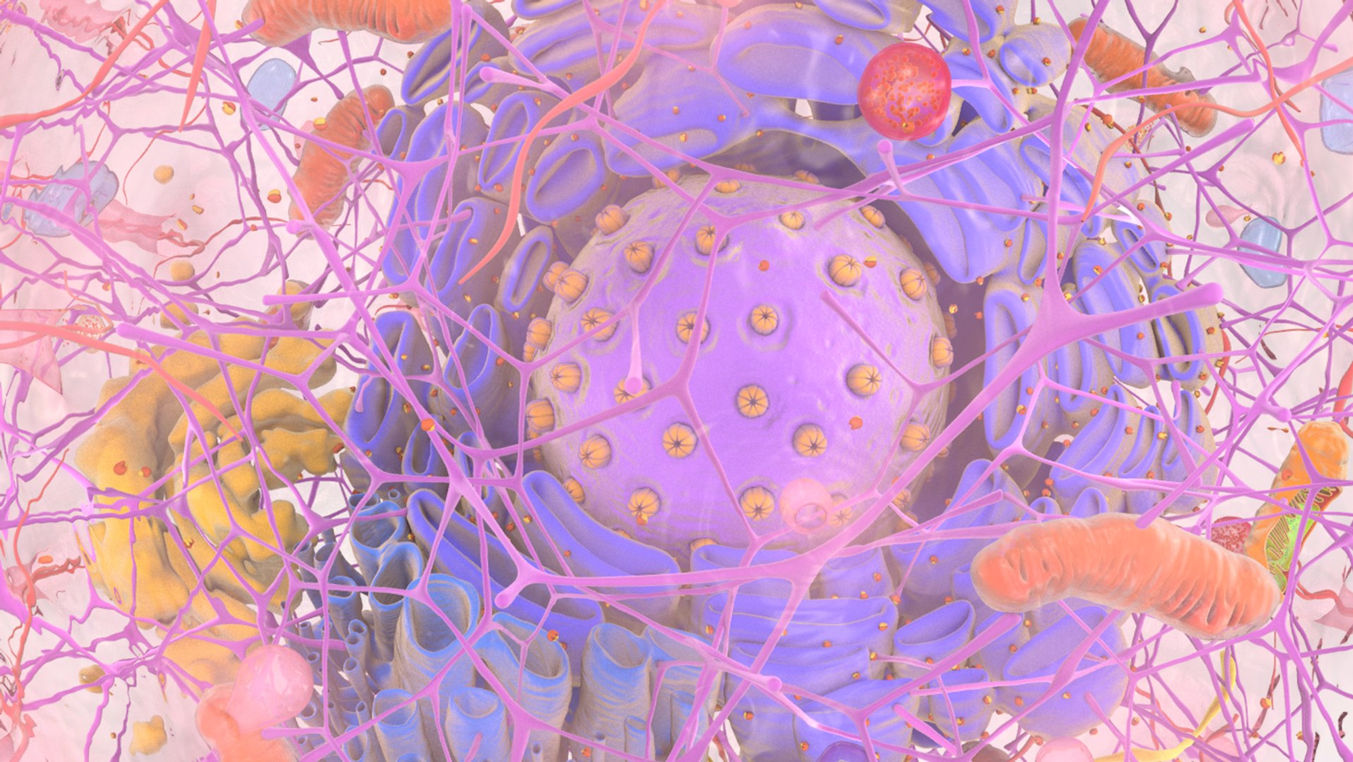 3D human cell nucleus model - TurboSquid 1416129