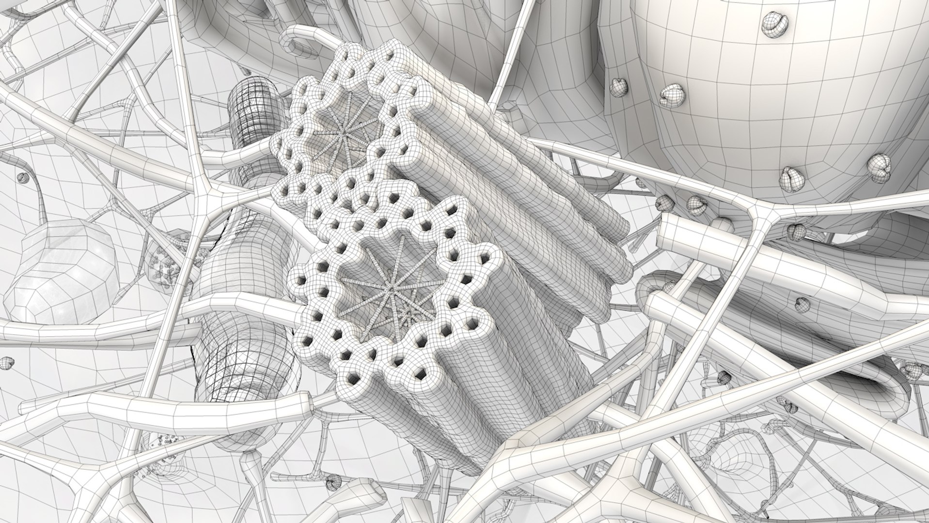 3D human cell nucleus model - TurboSquid 1416129