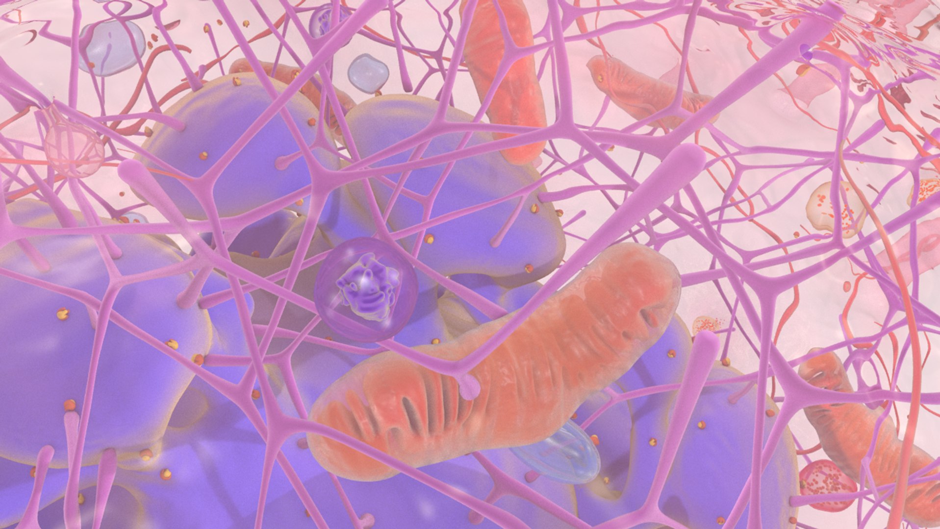 3D human cell nucleus model - TurboSquid 1416129