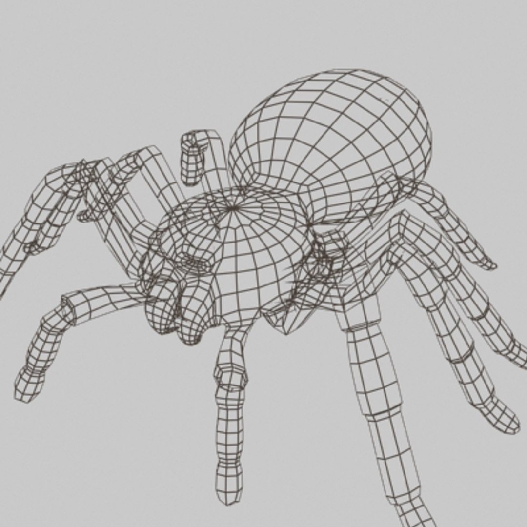 Mexican Redknee Tarantula 3d Model