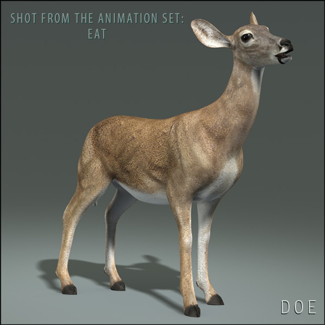 maya doe animation