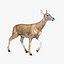 Maya Doe Animation