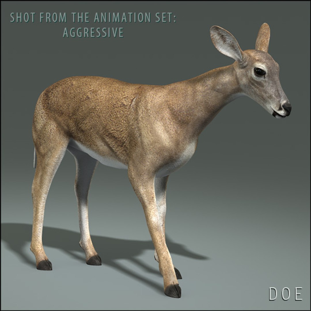 maya doe animation