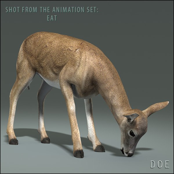 maya doe animation