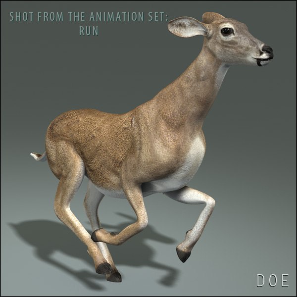 maya doe animation
