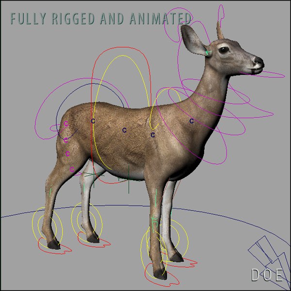 maya doe animation