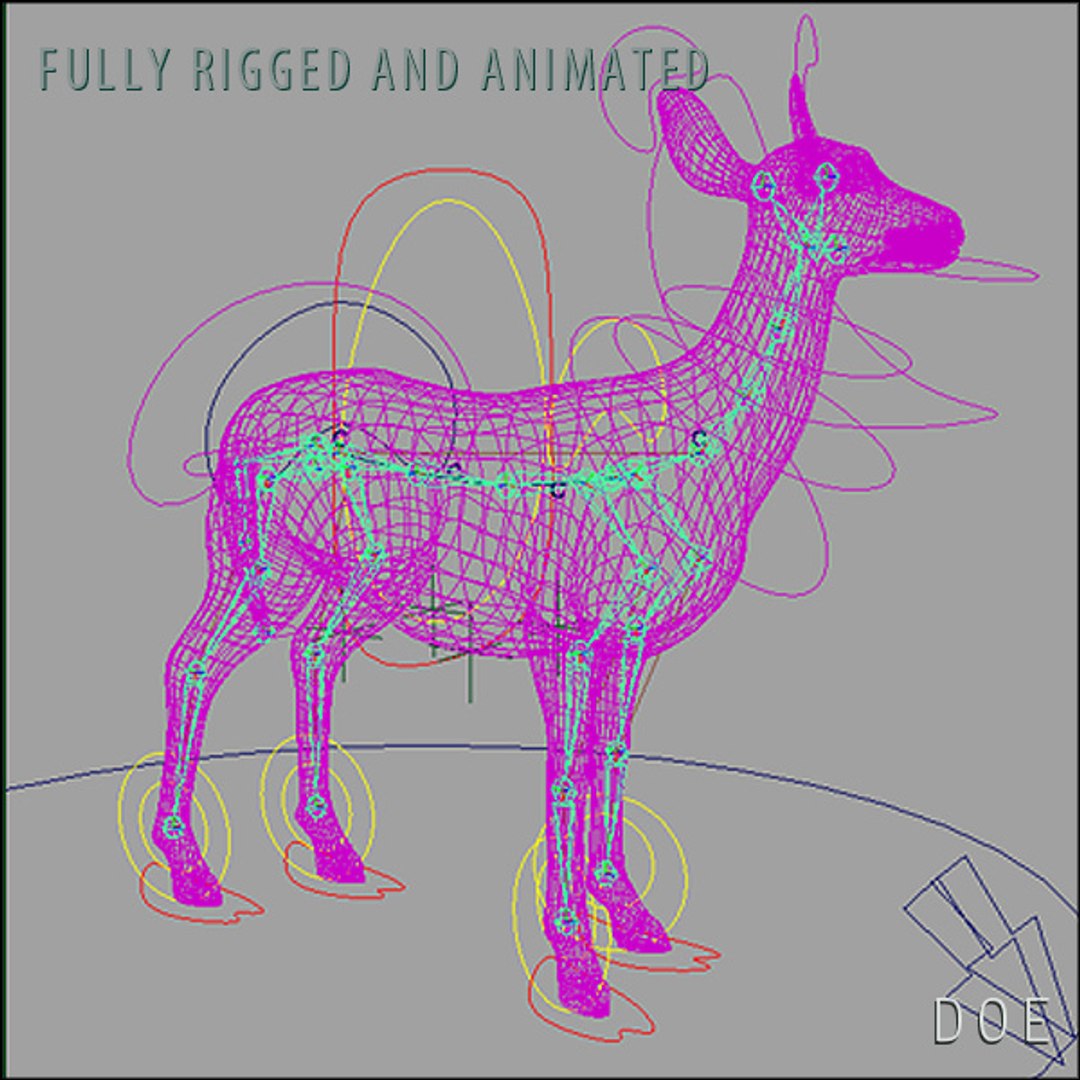 maya doe animation