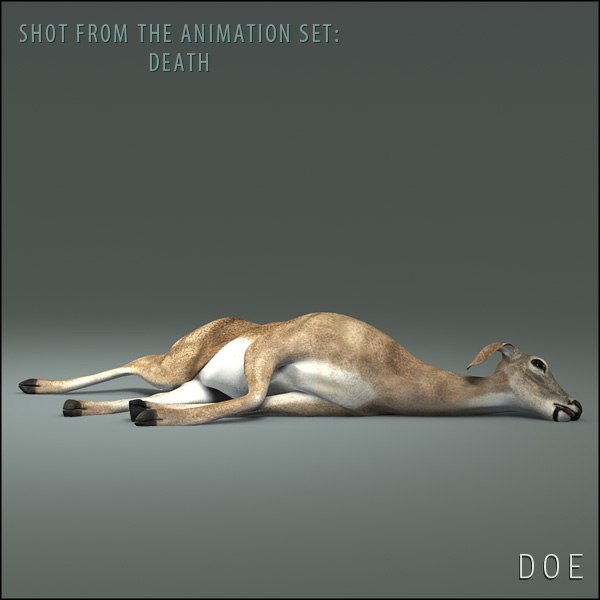 maya doe animation