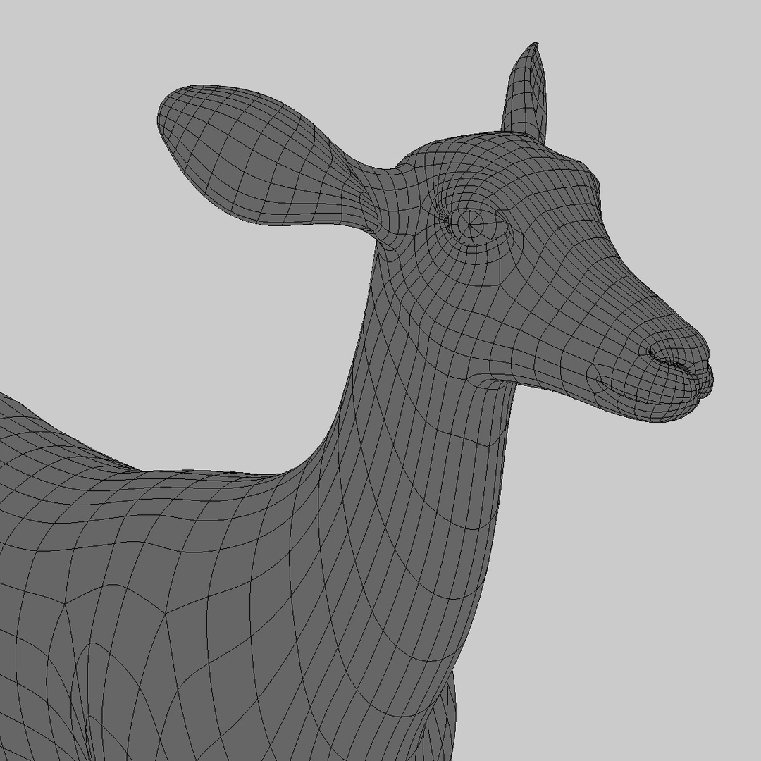 maya doe animation