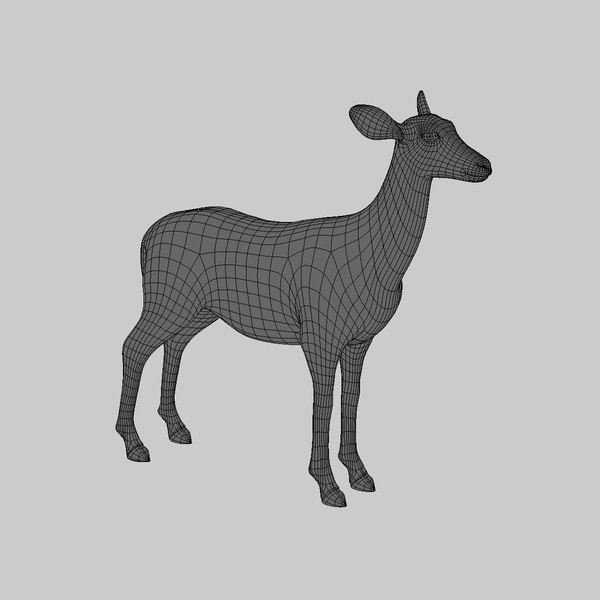 maya doe animation