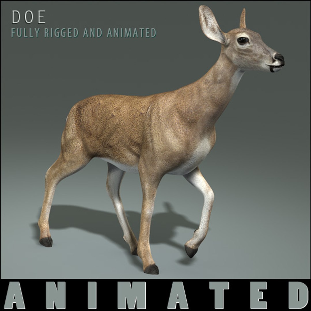 Maya Doe Animation