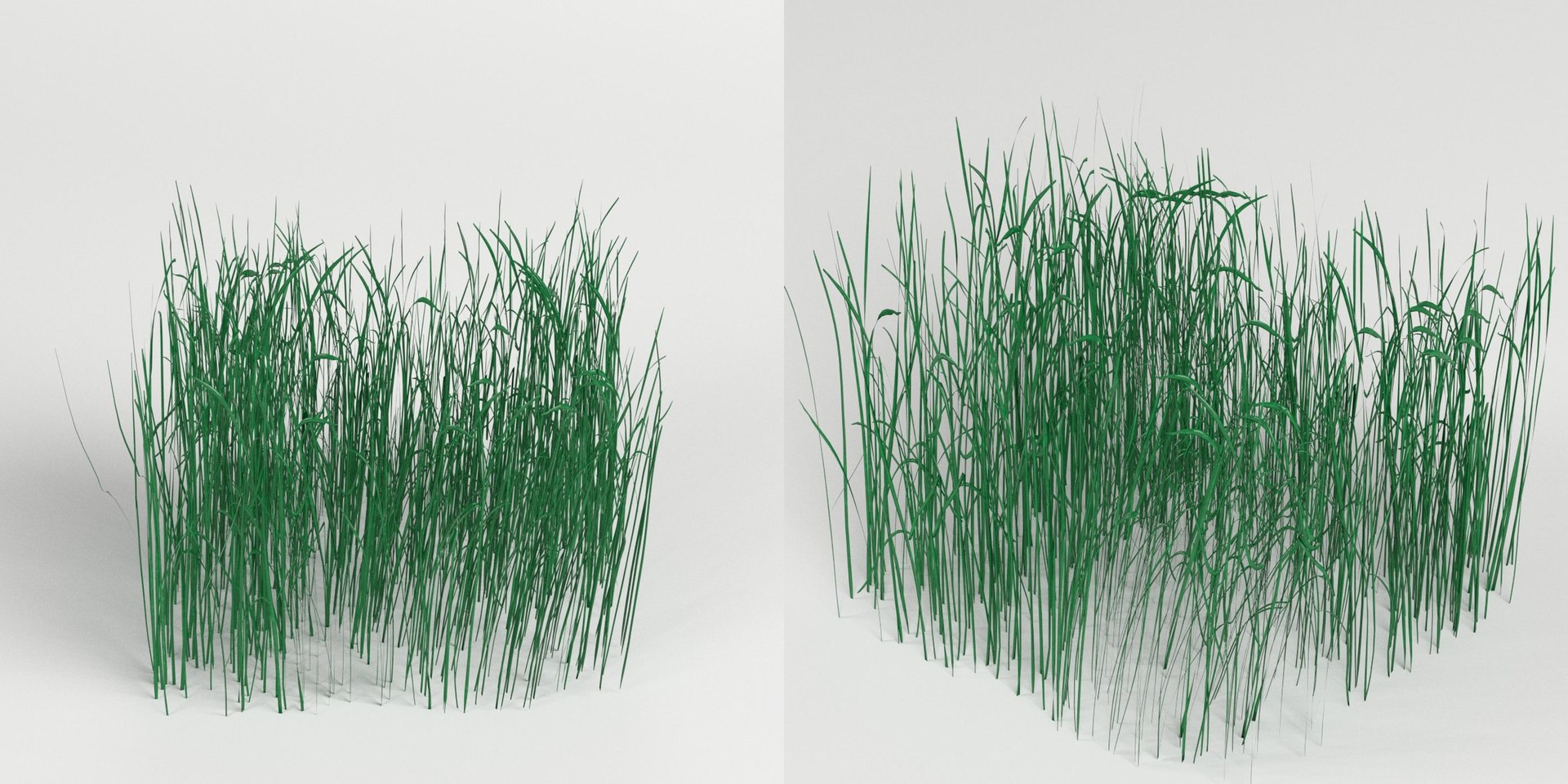 Grass Module 3D Model - TurboSquid 1351970