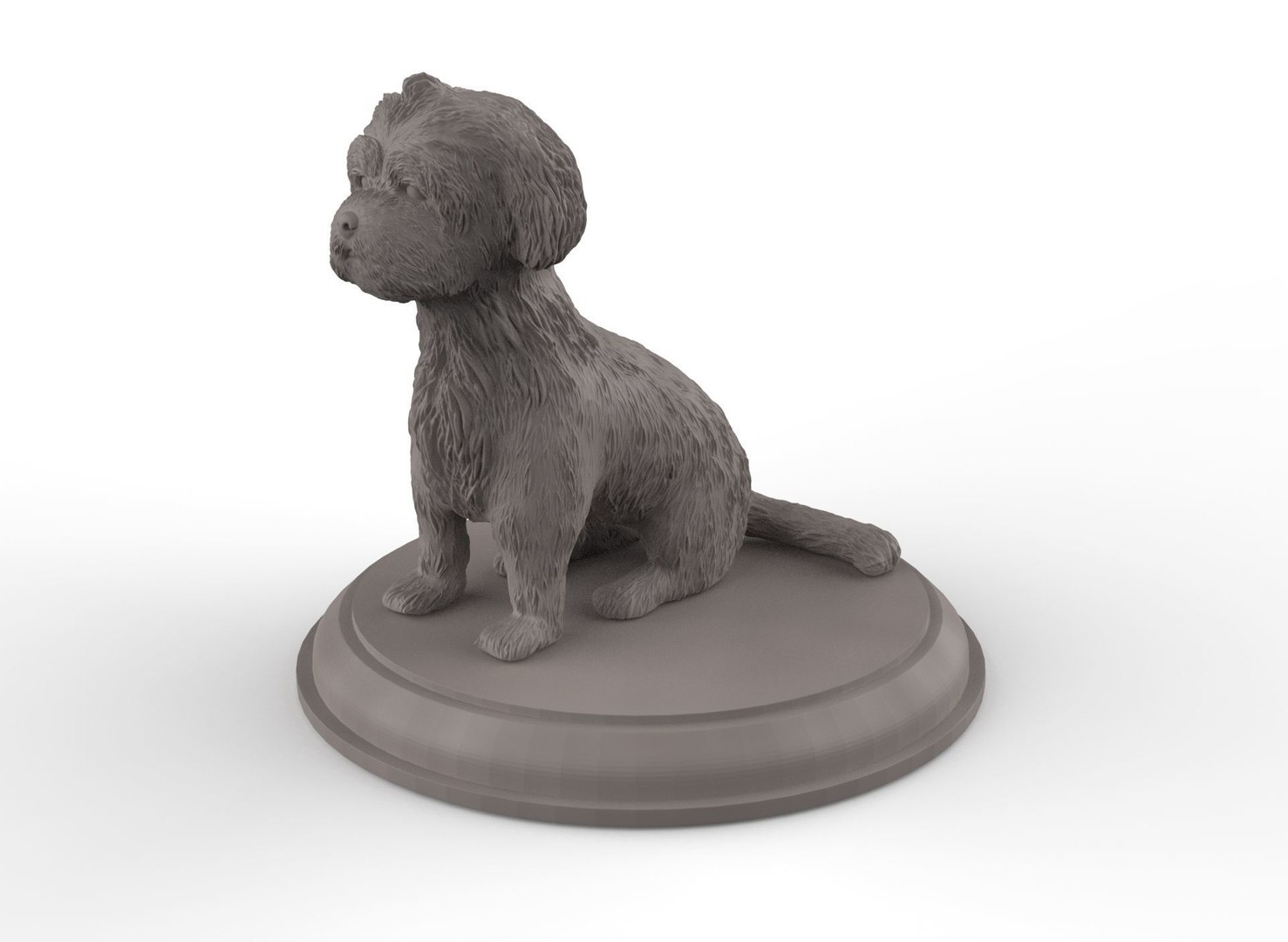 3D Shih Tzu 3D Model - TurboSquid 2170814