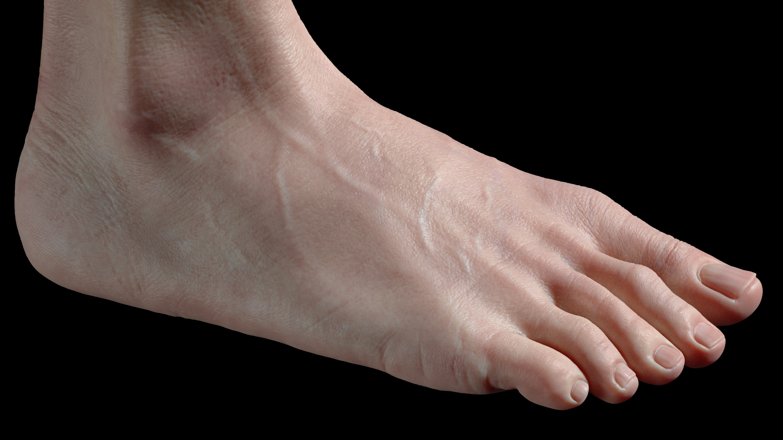 Foot Realistic Arnold model - TurboSquid 1745045